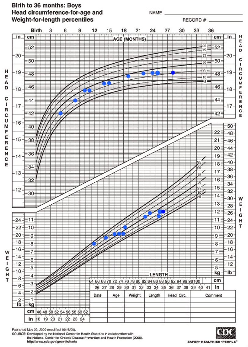 Plotted CDC Charts For Maximo s Height Weight And Head Circumference Plotted CDC Charts For Maximo s Height Weight And Head Circumference